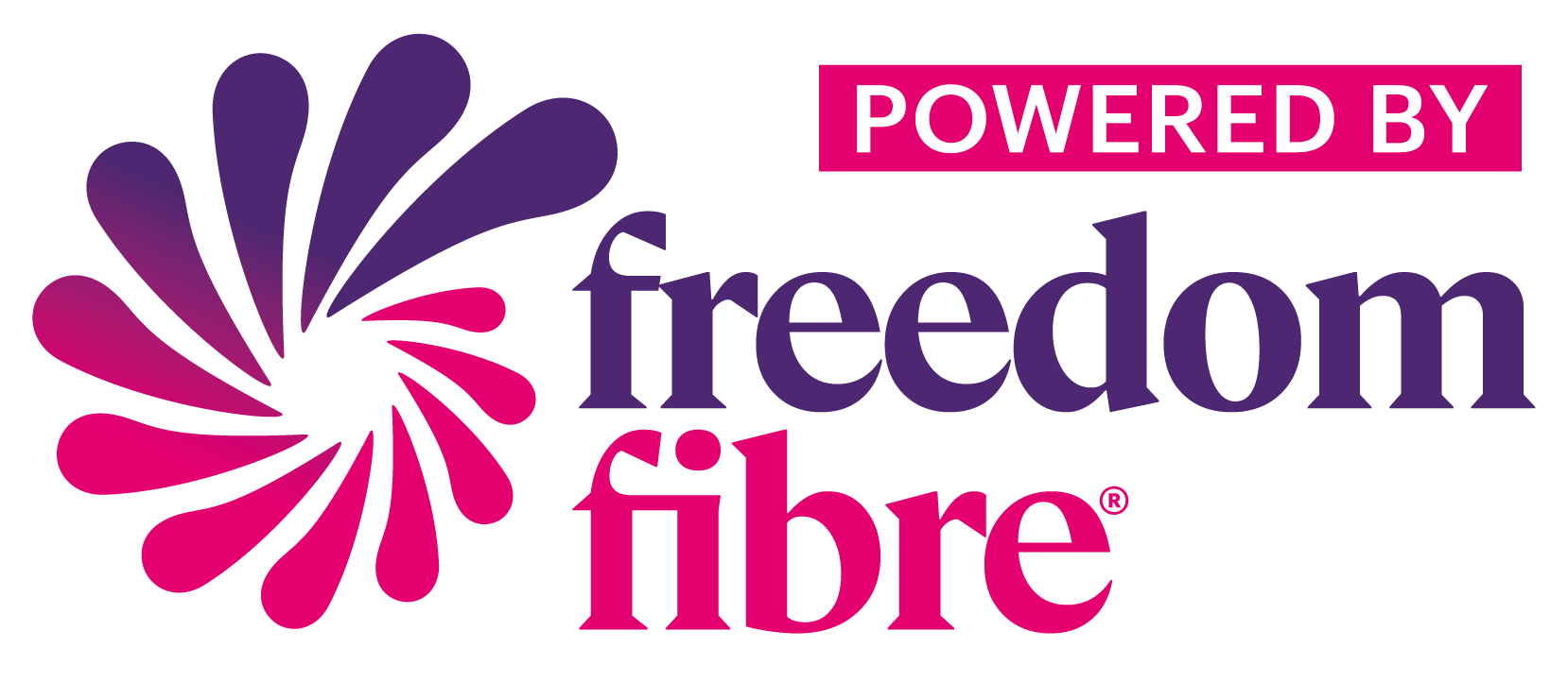 Freedom Fibre - MTH Networks